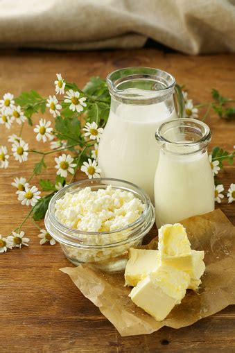 Bermacammacam Produk Susu Rustic Masih Hidup Foto Stok Unduh Gambar