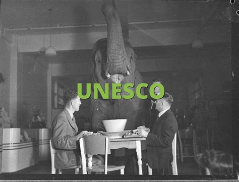 UNESCO Meaning Slang Org