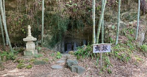 【短歌一首】 竹林に虫塚ありて奪はれし五分の魂天に昇らん ｜猫間英介