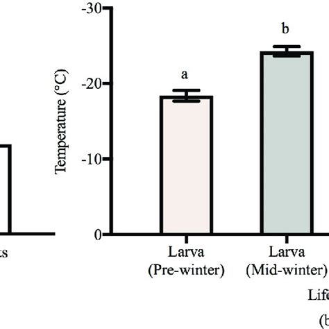 SCP Mean SEM For Different Life Stages Of S Noctilio A The SCP Download Scientific