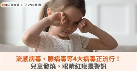 流感病毒、腺病毒等4大病毒正流行！兒童發燒、眼睛紅癢是警訊 華人健康網 專業即時優質的健康新聞及資訊分享平台業即時優質的健康新聞及資訊分享平台