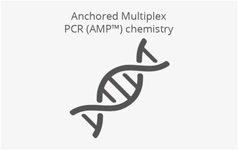 Anchored Multiplex Pcr Target Enrichment Chemistry Dna Splicing Icon