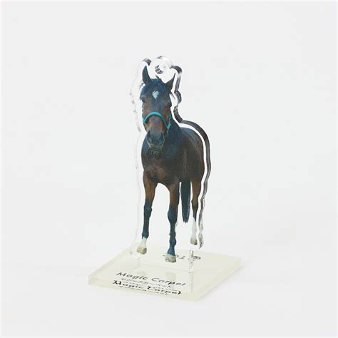 アクリルスタンド Tcc Online Store
