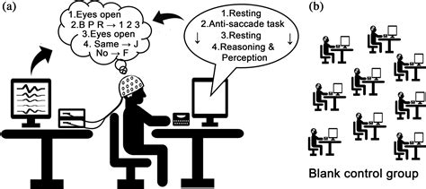 Human Brain Mapping Neuroimaging Journal Wiley Online Library