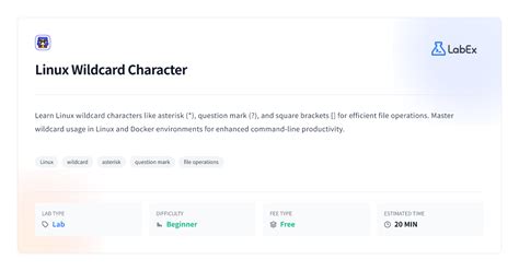 Linux Wildcard Character Labex