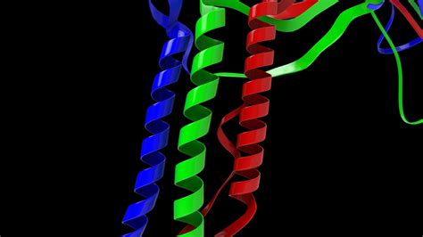 Protein Structure 3d Turbosquid 2199162