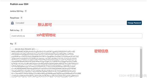 Jenkins自动部署jekenis Csdn博客 Jenkins自动部署jekenis Csdn博客