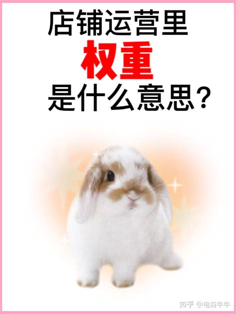 经营店铺这么久竟然不知道权重的重要性！ 知乎