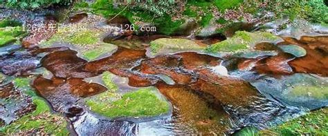 天府之肺“碧峰峡” Myt126汽车改装网