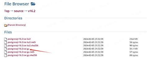 Ubuntu 下离线安装PostgreSQL 没有星星的夏季 博客园