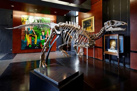Dinosaur Skeleton Sculpture For Sale At Evie Rounsevell Blog
