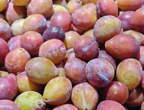 椰枣的升糖指数 Gi值 血糖生成指数 Gi 升糖负荷 Gl值 热量 蛋白质含量 碳水化合物含量 嘌呤含量 控糖指南 乐圣科技