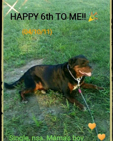 Pin Af Jeanine Arnold På Tots Tykes And Babes