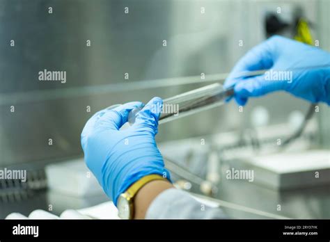 Plant Tissue Culture For Agricultural Research Stem Cell Regeneration