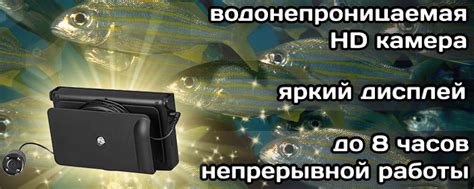 Подводная видеокамера Фишка 503(с функцией видеозаписи)+бонус