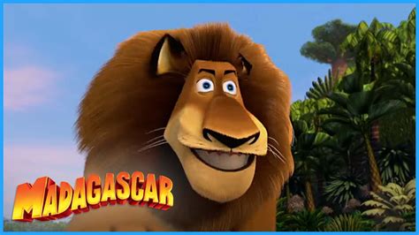 Madagascar Lion Quotes