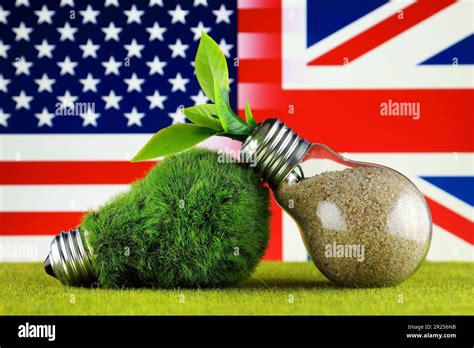 Green Eco Light Bulb With Grass Plant Growing Inside The Light Bulb