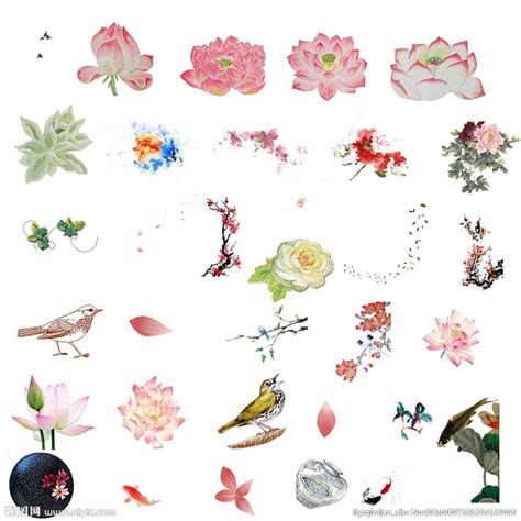 中国古风元素花鸟素材 花瓣网