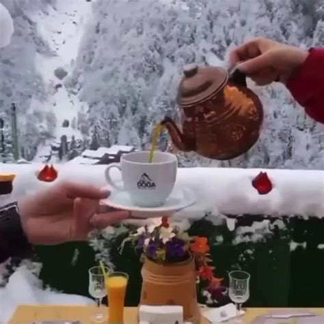 Евро хүнс герман хүнсний бөөний төв Home