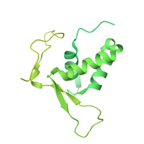 Rcsb Pdb 8vg1 Cryo Em Structure Of Foxa1 And Gata4 In Complex With Albn1 Nucleosome