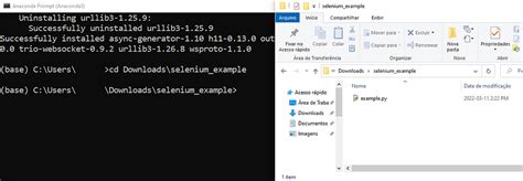 executando o selenium com o python em windows by wellington monteiro