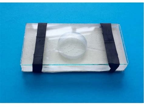 Huffaker Cage Used In The Experiments Photo By R Antonelli Download Scientific Diagram