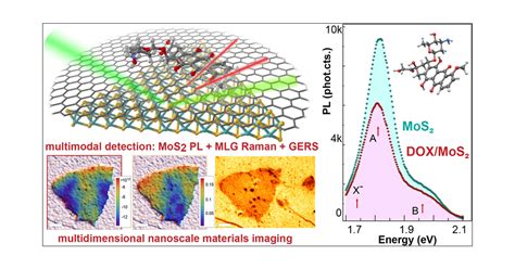 Multidimensional Imaging Reveals Mechanisms Controlling Multimodal