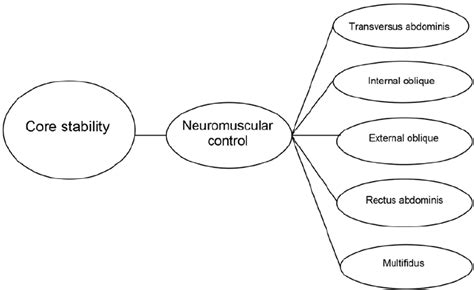 The Core Stability Model Developed In The Study Download Scientific