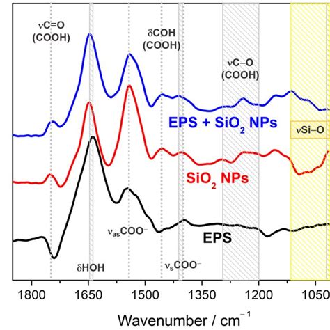 Normalized And Stacked Ftir Spectra 1850 950 Cm −1 Of Eps Black Download Scientific Diagram