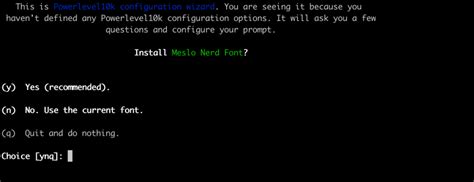 Oh My Zsh Powerlevel K Terminal Dev Community
