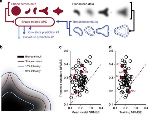 Curvature Modification Does Not Explain Blur Selectivity A Schematic Download Scientific