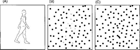 Figure 2 From The Visual Perception Of Human Locomotion Semantic Scholar