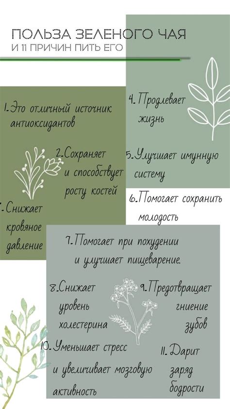 Польза зеленого чая
