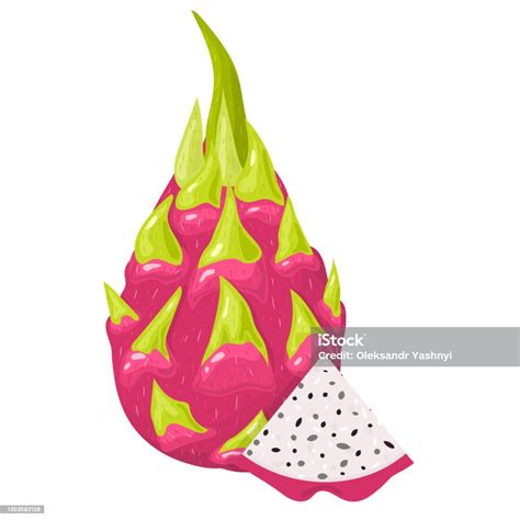 흰색 배경에 고립 된 신선한 전체 와 슬라이스 빨간 피타야 과일을 잘라 건강한 라이프 스타일을위한 여름 과일 유기농 과일 만화 스타일 모든 디자인에 대한 벡터 그림입니다 0