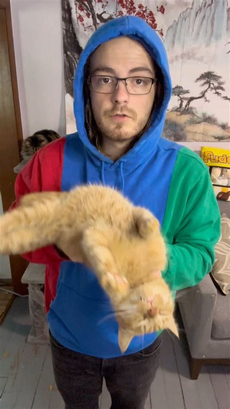 Cats Are Incredibly High Maintenance Orangeflavoredcat Orangecat