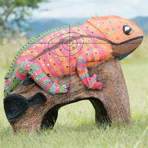 Chameleon Large Group 4 71kg 3d Target Zones