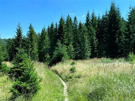 Planinske Poti Doživi Ruše