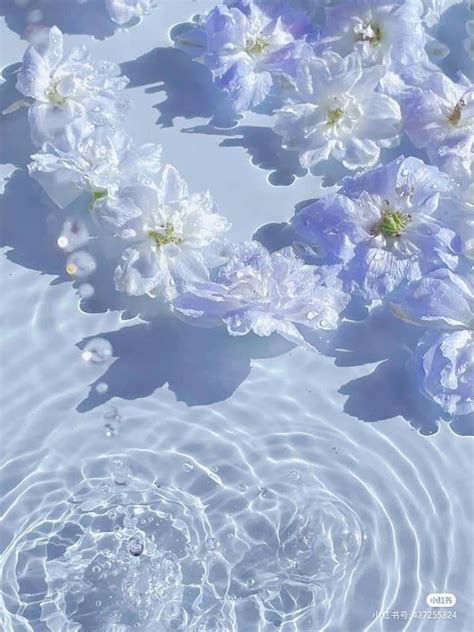 Ladylimoges In 2022 Blue Flower Wallpaper Light Blue Aesthetic