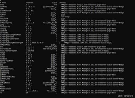 cneternet配置 ccrnet模型配置环境 csdn博客