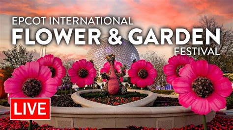 🔴live Epcot International Flower And Garden Festival Walt Disney World Live Stream Youtube