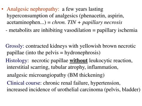 Ppt Diseases Affecting Tubules And Interstitium Powerpoint