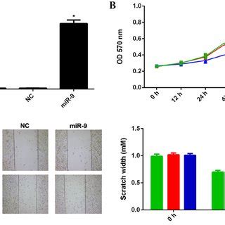 Reverse Transcriptionquantitative Polymerase Chain Reaction Data