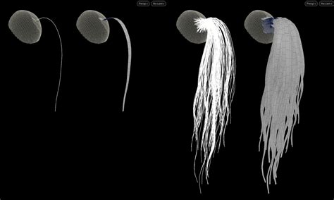 How To Rotate Meshs Randomly Along Curves Rhoudini