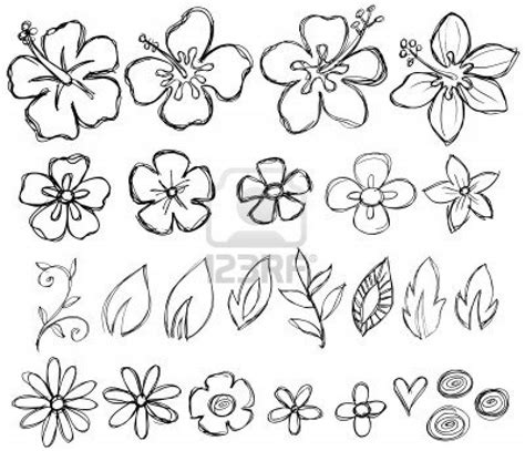 How To Draw A Tropical Flower Easy At Krystal Russell Blog