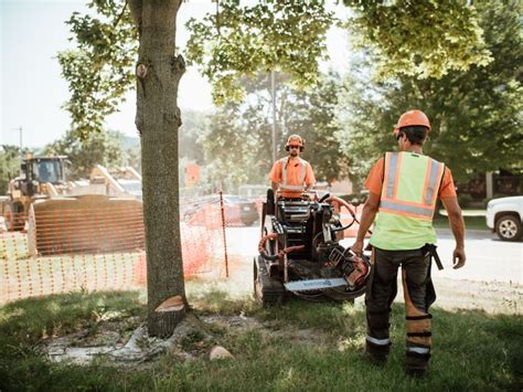 Integrity Tree Services On Linkedin Treework Arbcare