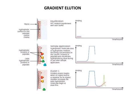 Reverse Phase Chromatography Pptx