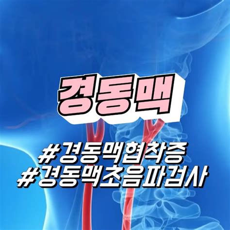 경동맥 협착증 And 경동맥 초음파 검사 위치 혈관 두께 네이버 블로그