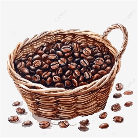 고리버들 바구니에 수채화로 구운 커피콩 커피 콩 씨앗 Png 일러스트 및 이미지 에 대한 무료 다운로드 Pngtree