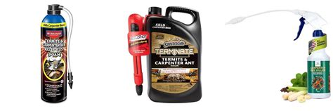 Top 5 Carpenter Bee Insecticides Best Choice Guide