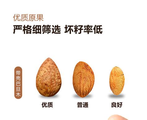 薄皮巴旦木手剥袋装250g代发批发办公休闲零食大颗开口纸皮巴旦木 阿里巴巴